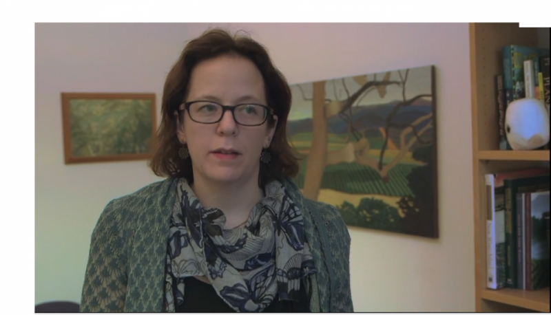 Biến đổi khí hậu đe doạ đến ngành sản xuất rượu vang tại Áo